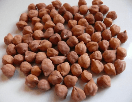 "Gram (Chickpeas)" benefits for human body in Ayurveda